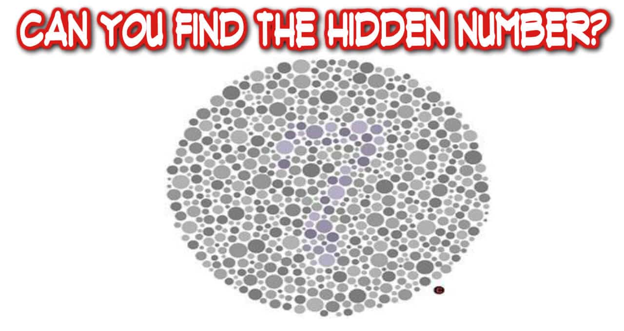 Can You Find The Hidden Number 
