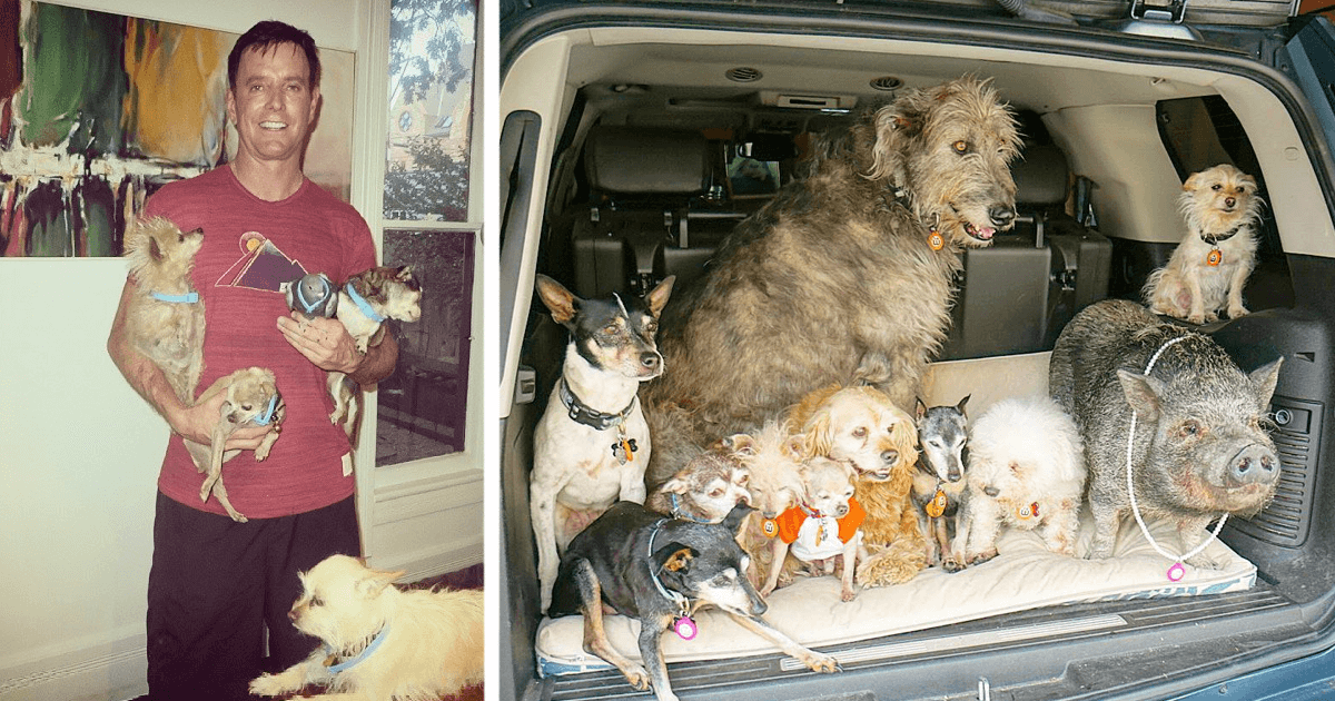 Man Adopts Every Least Adoptable Pet After His Dog Dies. • Writical